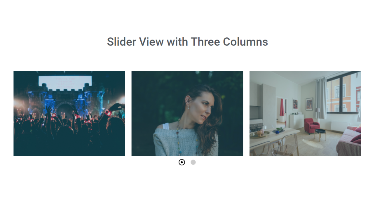 Gallery Showcase Pro for WordPress by techeshta | CodeCanyon